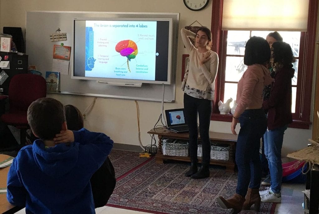 CLUB LIFE: Neuroscience Club Brainstorms New Ideas | Haverblog