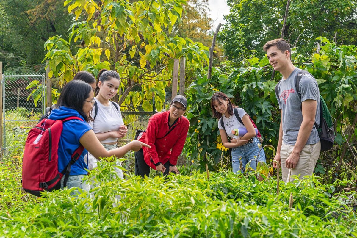 COOL CLASSES: “Advanced Chinese: Food and Food Production” | Haverblog