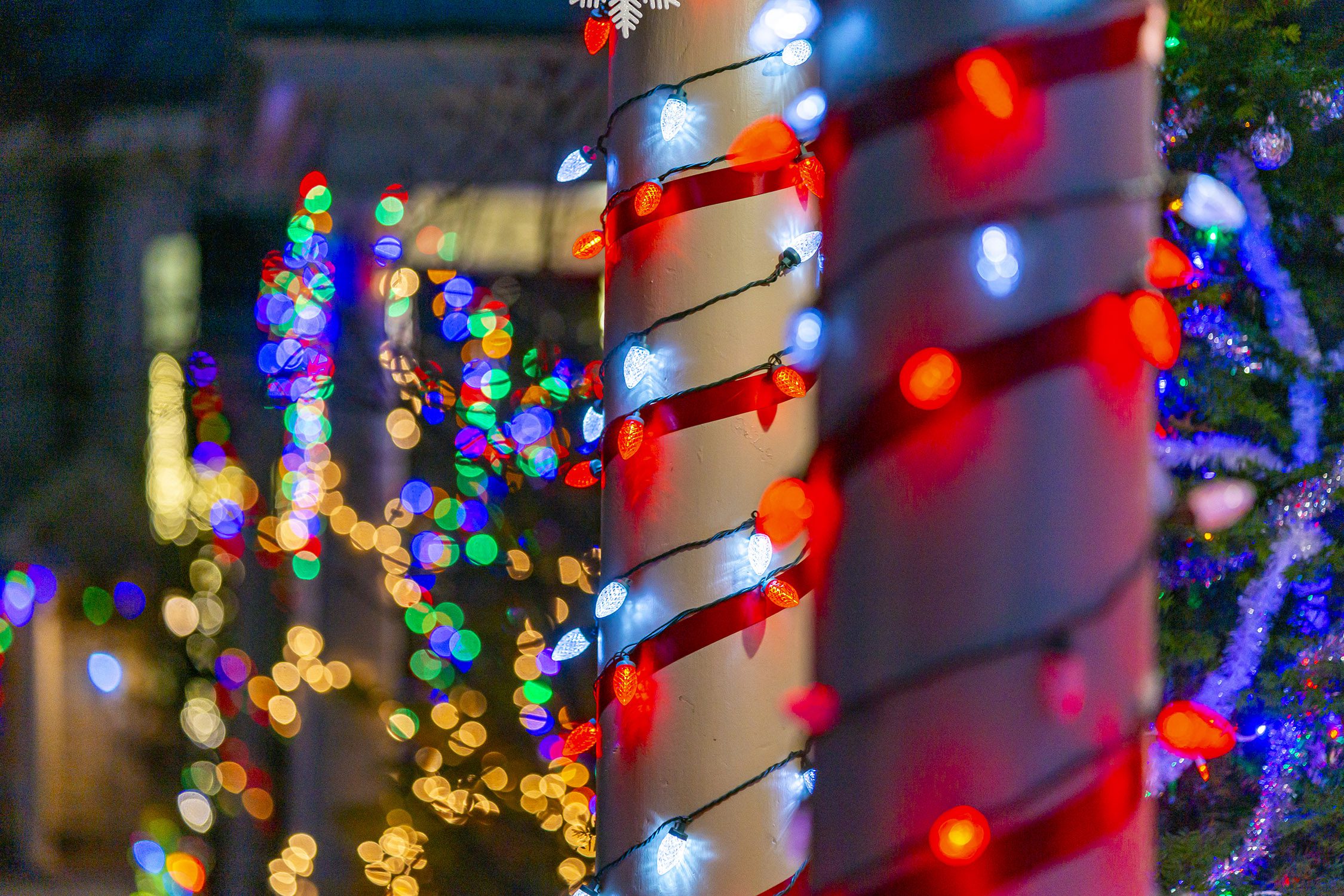 Friends Get Festive at Lloyd Hall | Haverblog