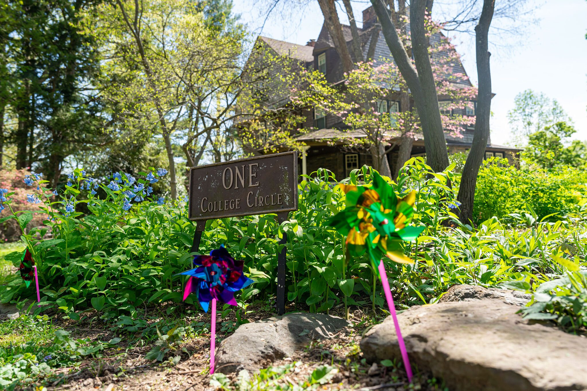 A Whirlwind of Joy: Scenes from Pinwheel Day 2025 | Haverblog