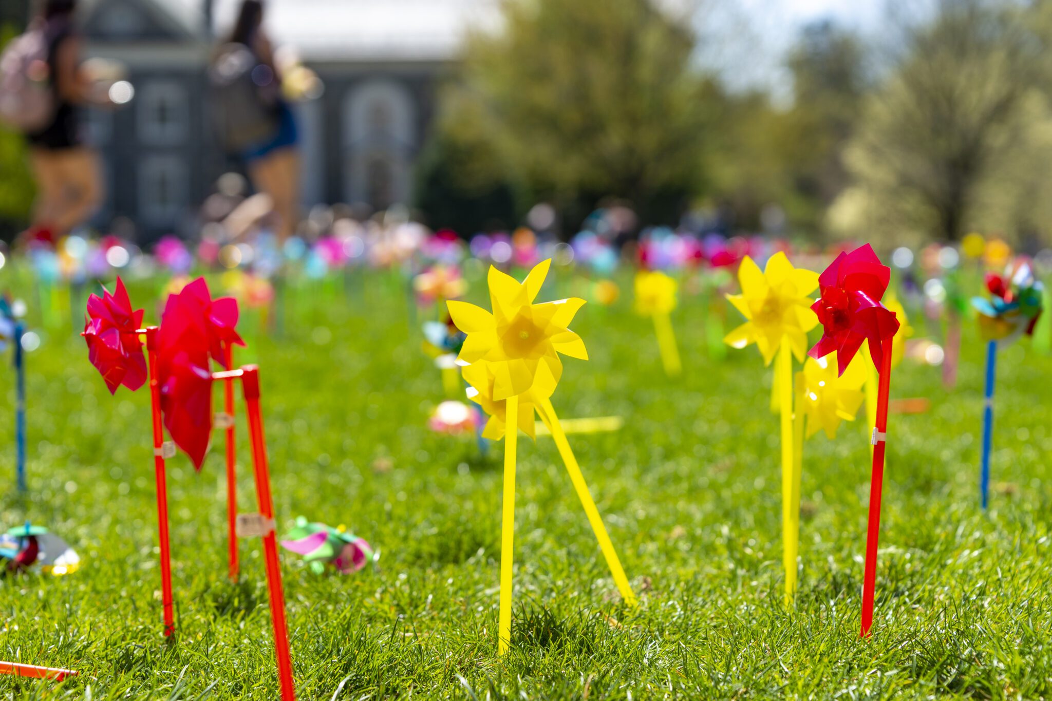 A Whirlwind of Joy: Scenes from Pinwheel Day 2025 | Haverblog